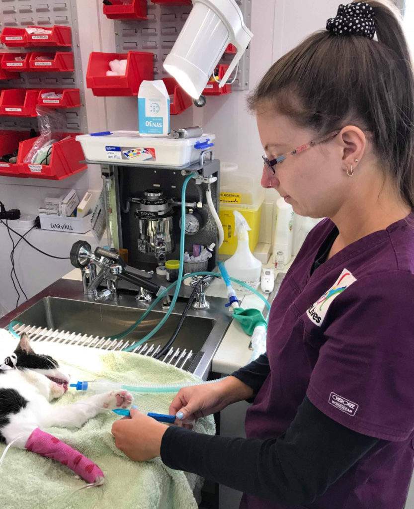 Veterinary Nursing - Ten Lives