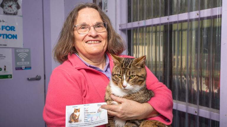 Paula’s Support Means The World For Cats Like Limony - Ten Lives